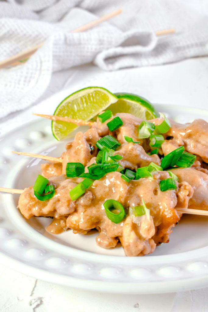 Actifry Satay Chicken Skewers Recipe | Hint Of Helen