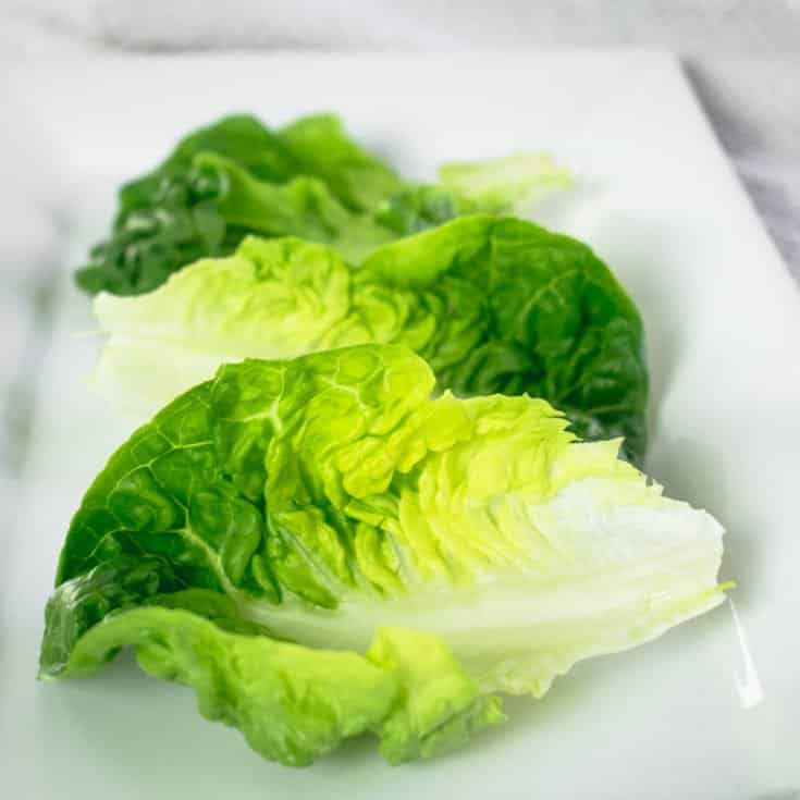 Slow Cooker Satay Chicken Lettuce Cups | Hint Of Helen